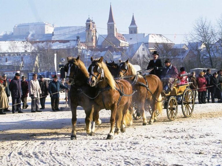 Kalter Markt Ellwangen 2023 – Ellwangens beste Seiten